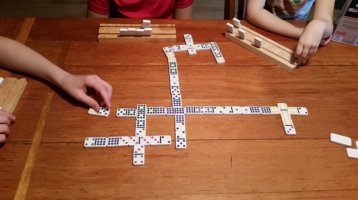 Domino Game Spinners Rules and Instructions by LandC