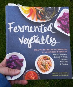 Fermenting Food Adventure Begins and Fermenting Book Review • Lady and ...